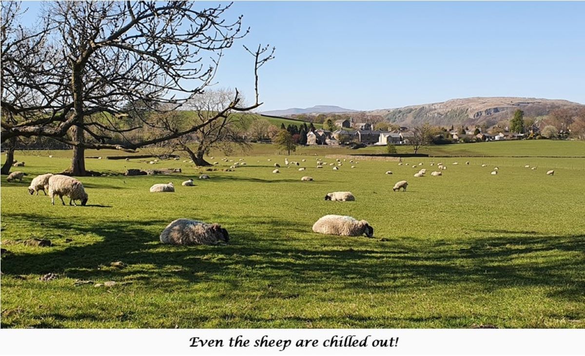 Visit Settle - Tranquillity